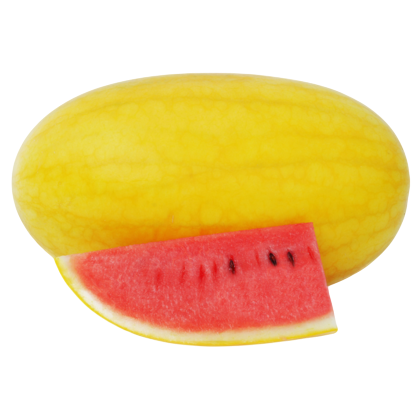 Vishala-Known-You Seed India