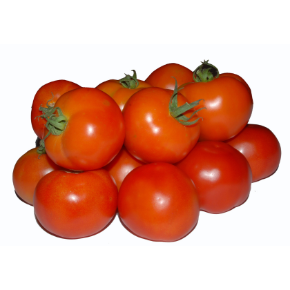 Laksh-Known-You Seed India