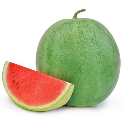 Lamiya-Known-You Seed