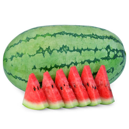 Simba-Known-You Seed