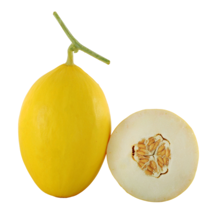 Soniya-Known-You Seed India