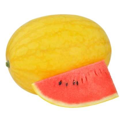 Yellow Princess-Known-You Seed India