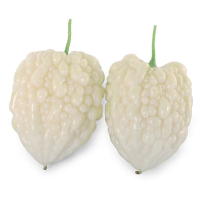 Rococo-Known-You Seed Europe B.V.