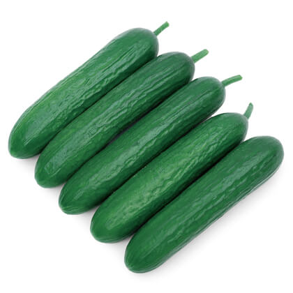 Cucumber-Products-Known-You Seed