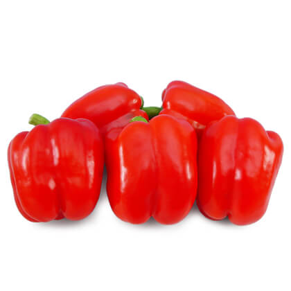 Red Star-Known-You Seed