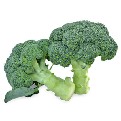 Blue Finn-Known-You Seed